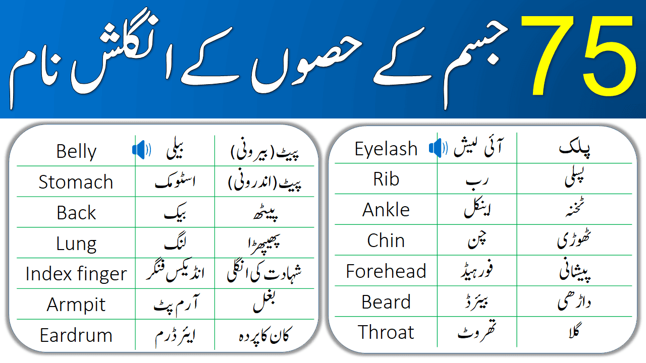 Parts Of Body For Kids With Urdu Meanings Engrary Parts Of Body For Kids With Urdu Meanings Engrary