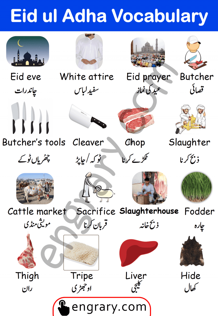 Eid ul Adha Vocabulary Words in English and Urdu • Engrary
