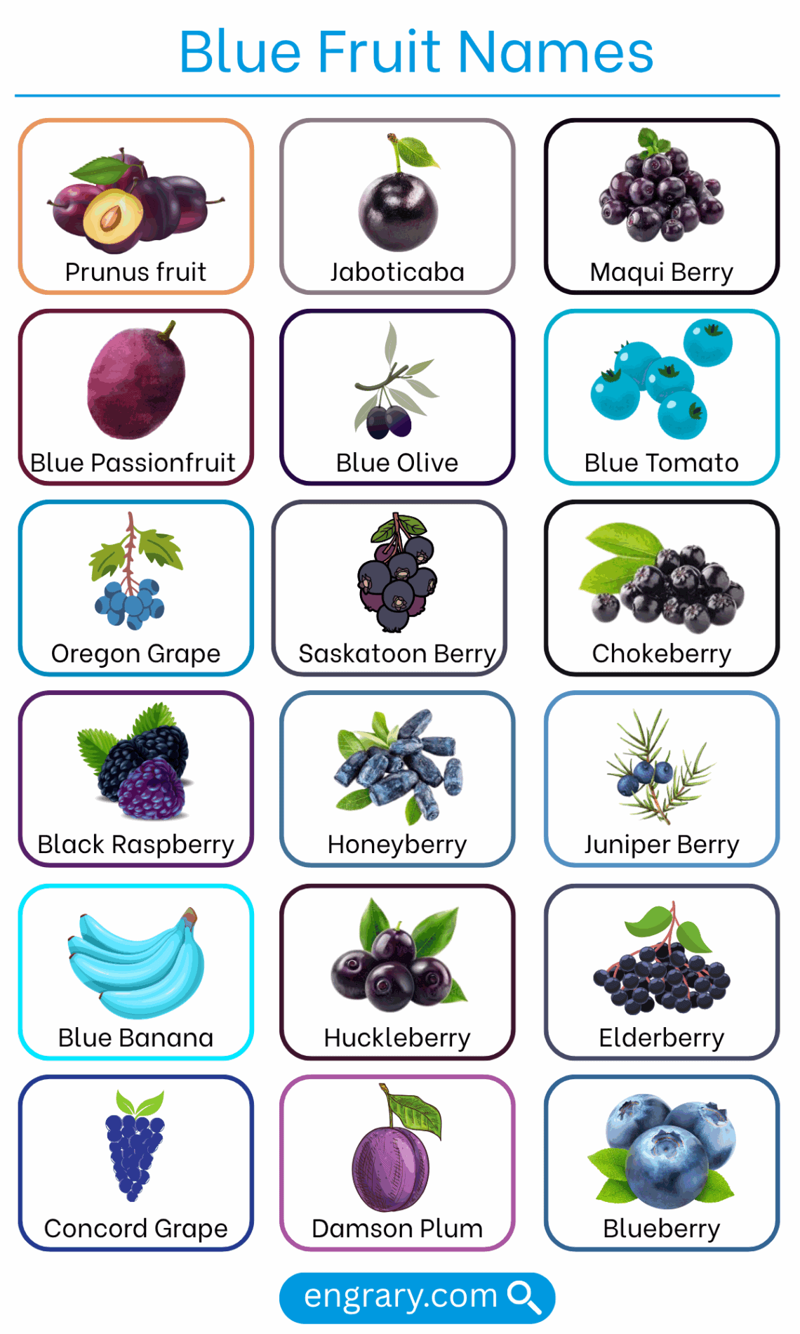 Blue Fruit Names with Types including Images • Engrary