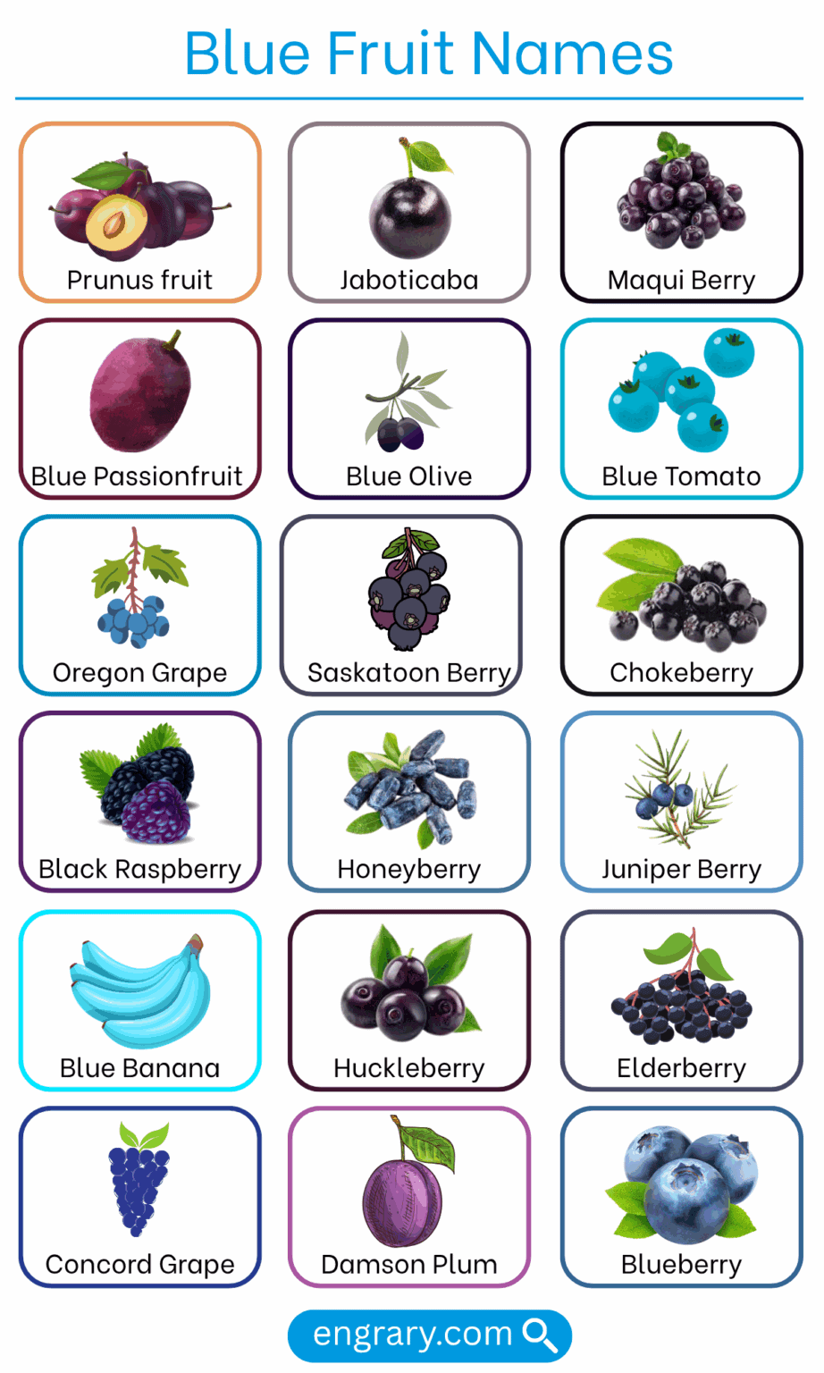 Blue Fruit Names with Types including Images • Engrary