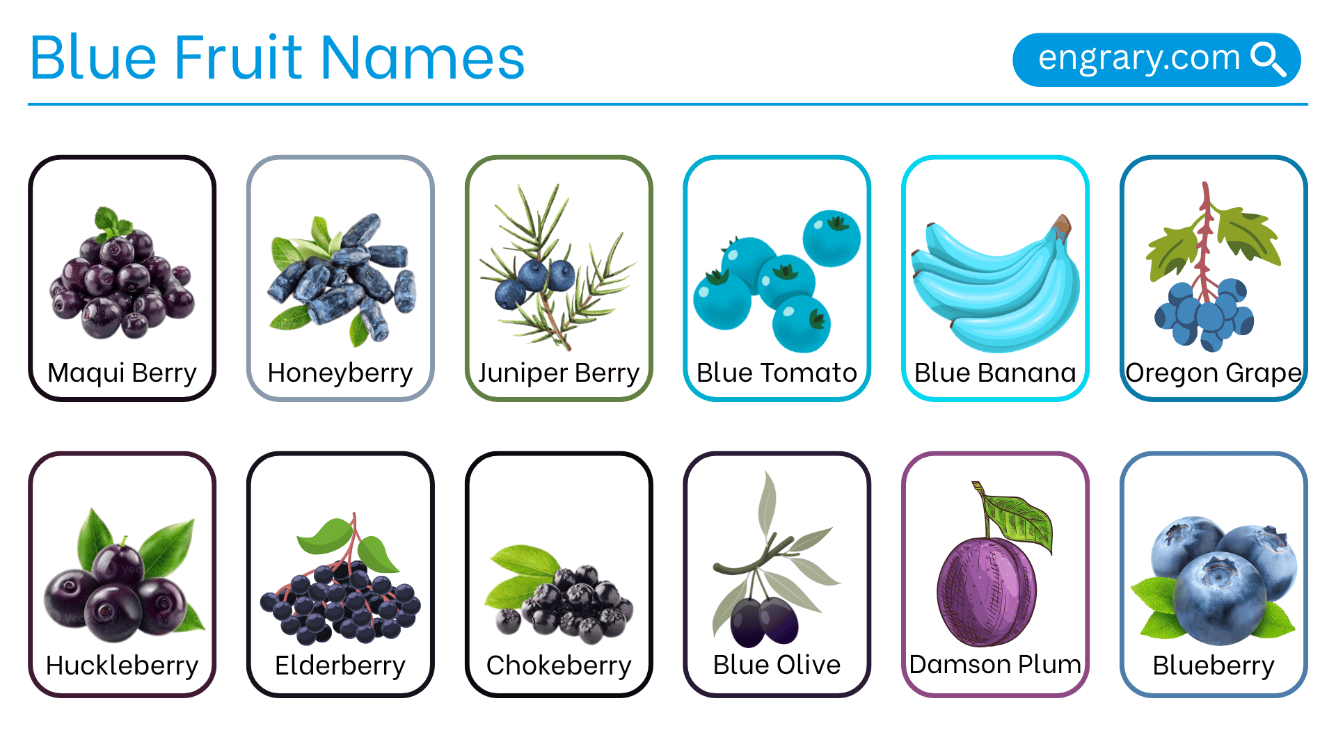 Blue Fruit Names with Types including Images • Engrary