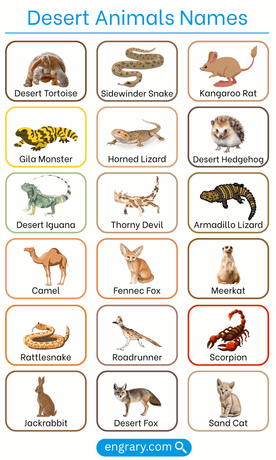 Desert Animal Names and Pictures in English - Extensive List • Engrary