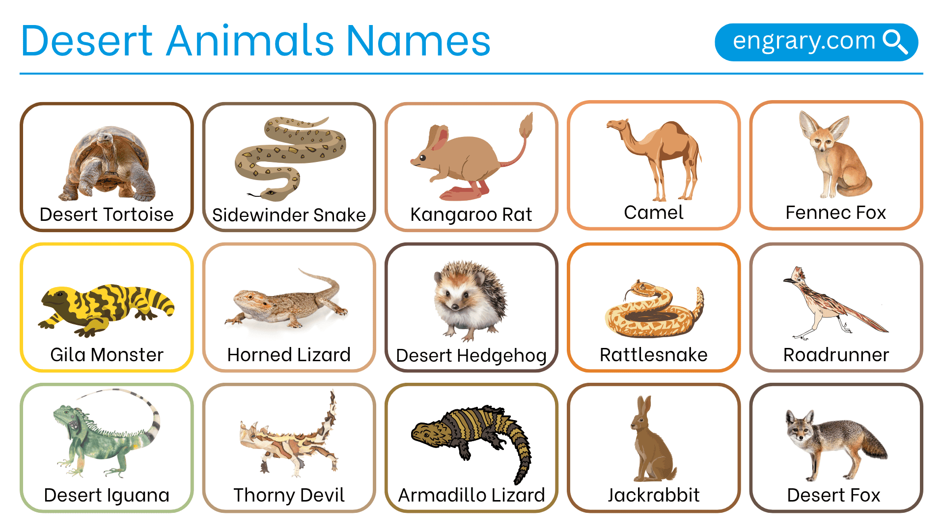 Desert Animal Names and Pictures in English - Extensive List • Engrary