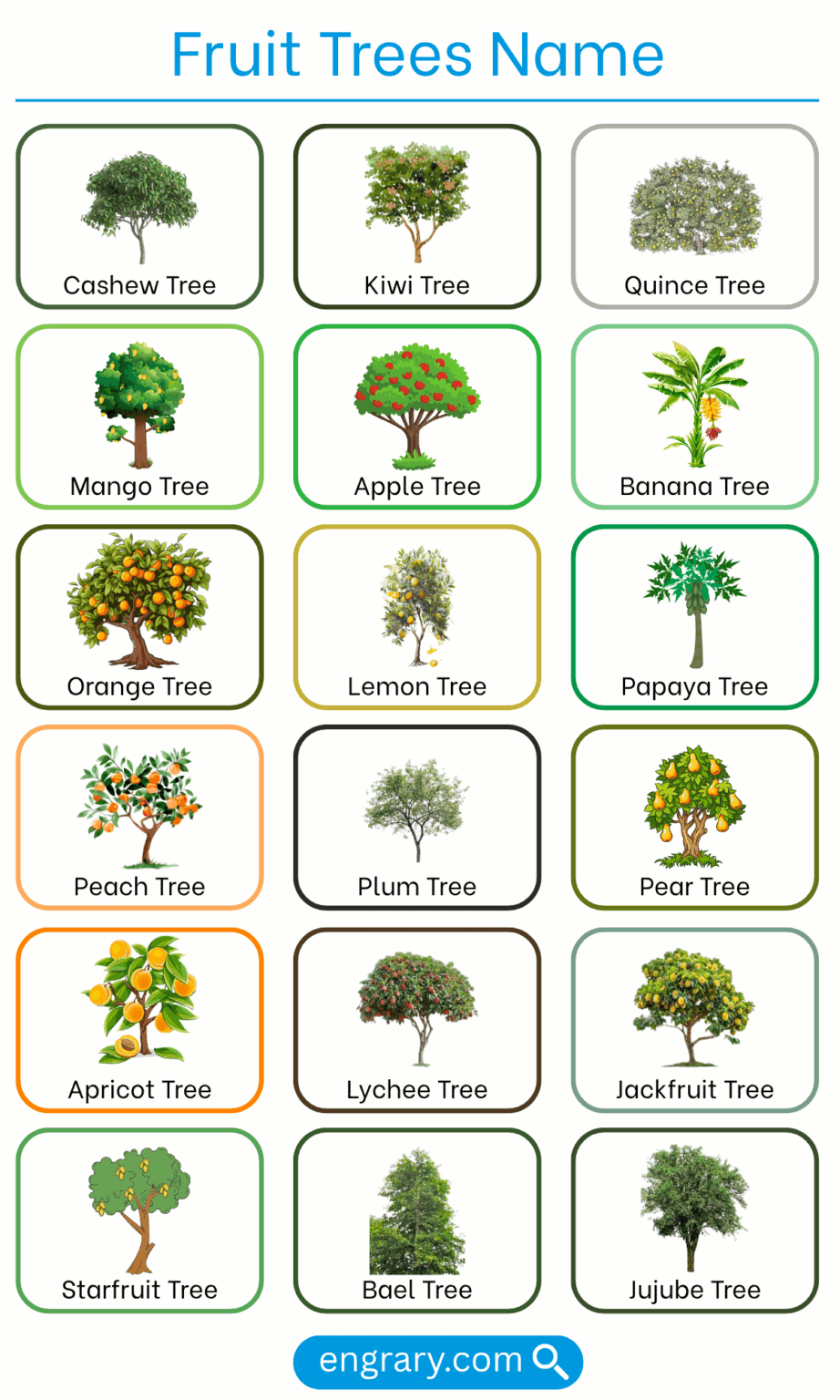 150+ Fruit Tree Names and Images - Complete List • Engrary