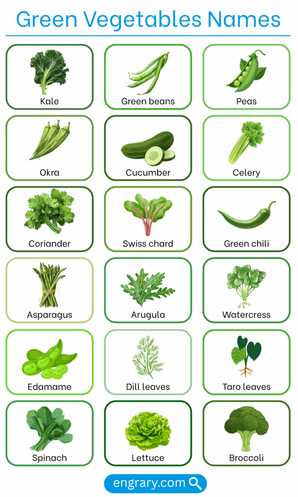 Green Vegetables Names in English including Images • Engrary