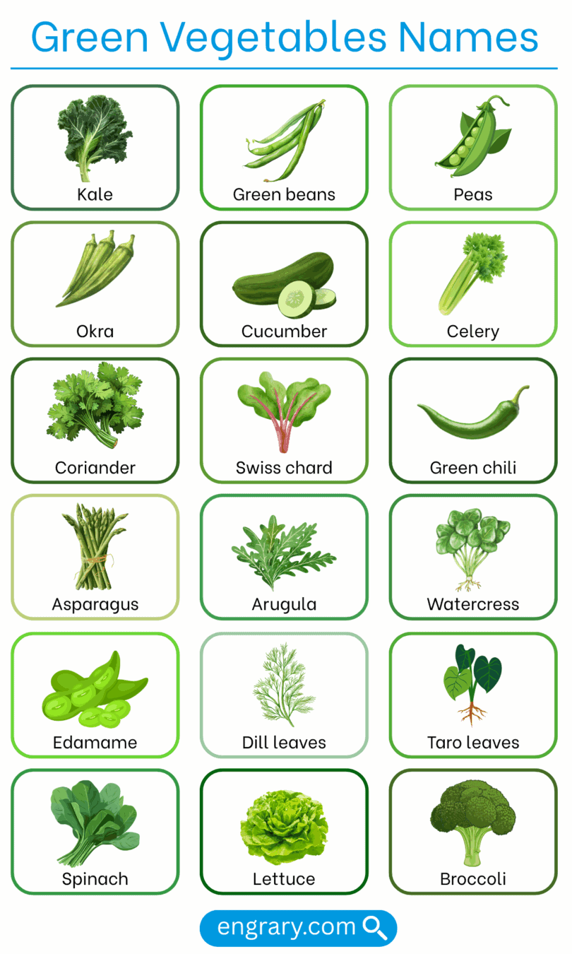 Green Vegetables Names in English including Images • Engrary