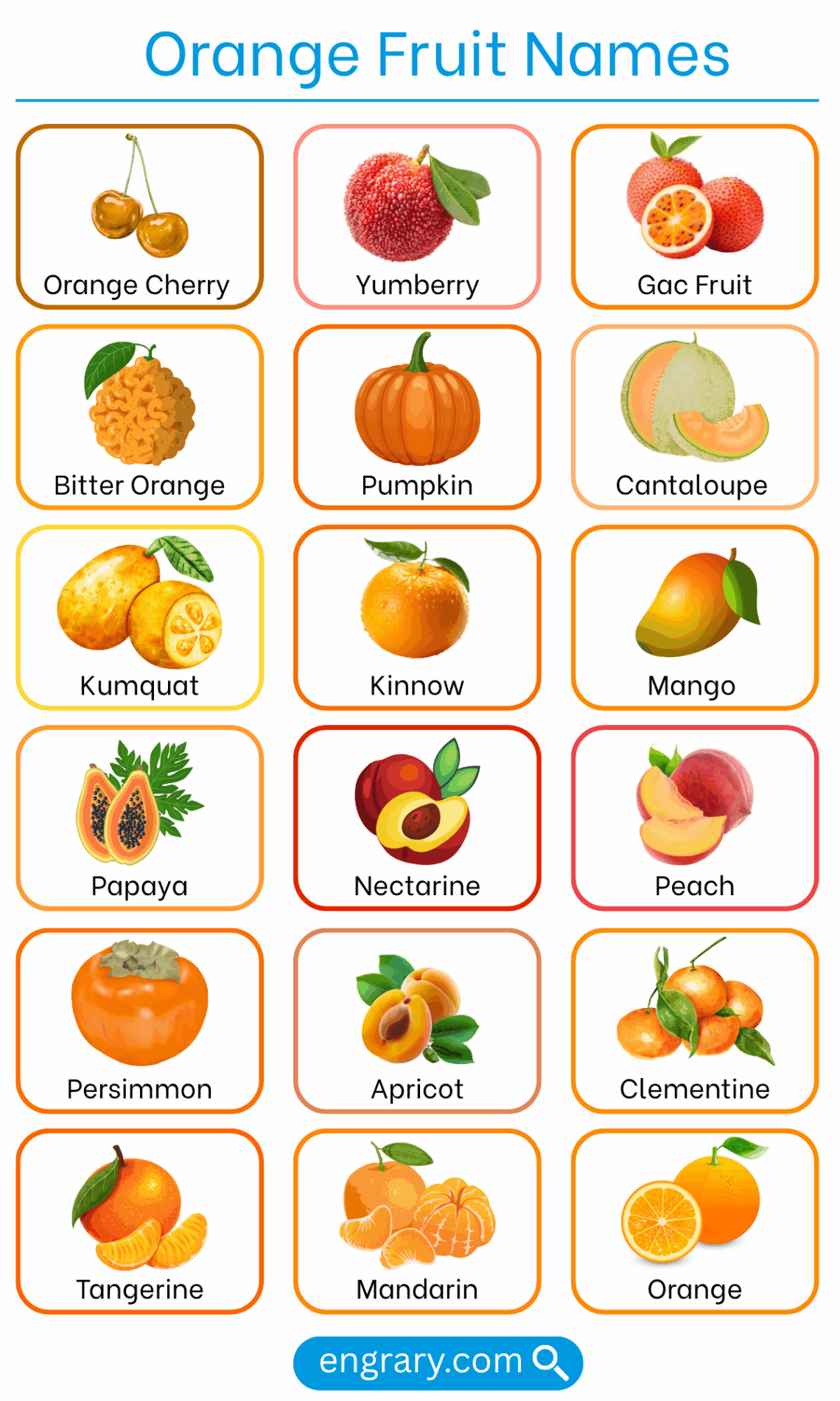 Orange Fruit Names in English – Complete List • Engrary