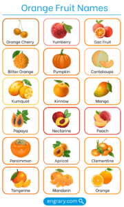 Orange Fruit Names in English – Complete List • Engrary
