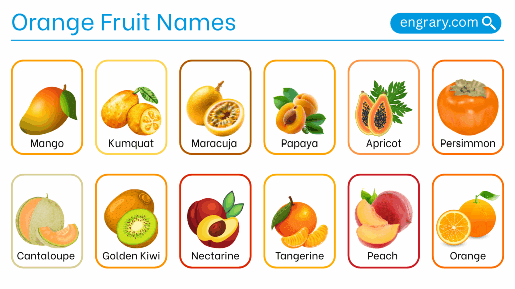 Orange Fruit Names in English – Complete List • Engrary