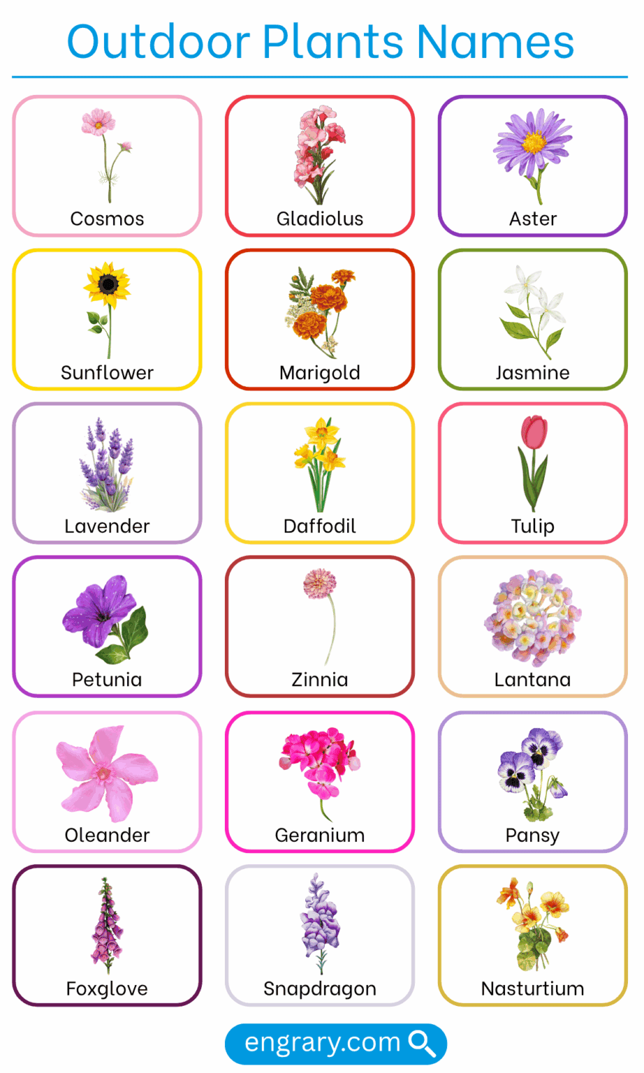 150+ Outdoor Plants Names for Garden List with Pictures • Engrary