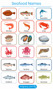 100+ Seafood Names in English List with Pictures • Engrary