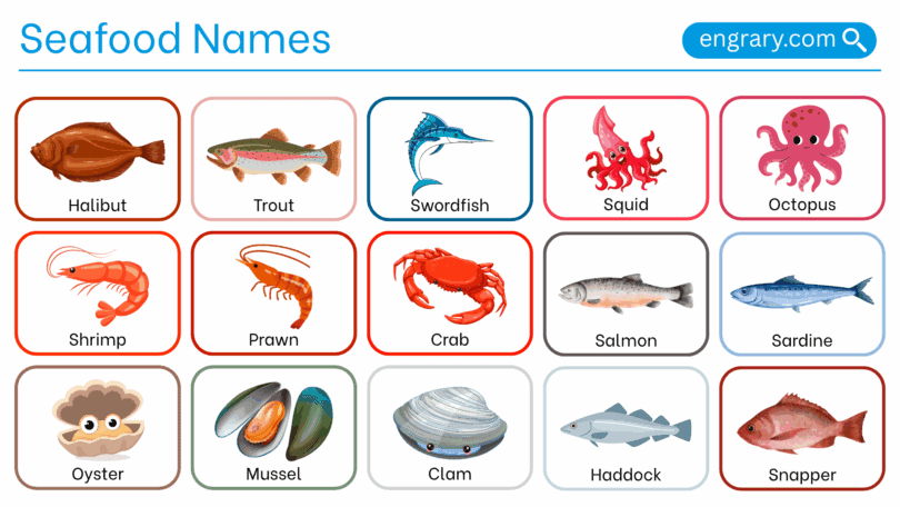 100+ Seafood Names in English List with Pictures • Engrary
