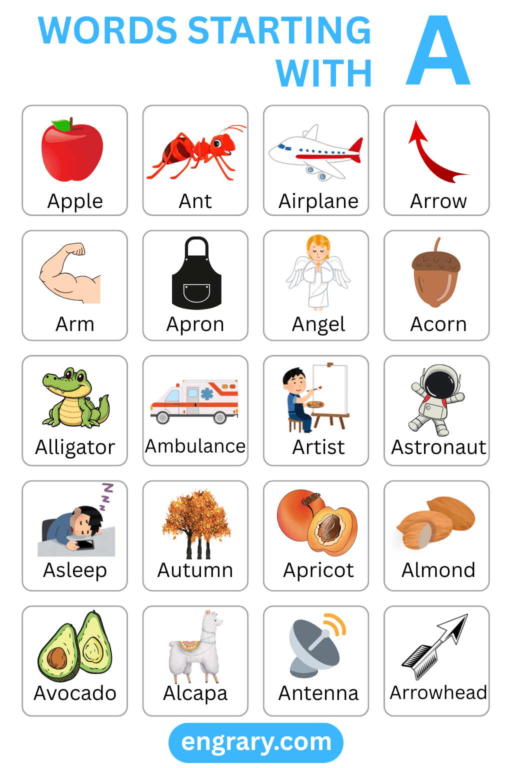 700+ Words That Start with A in English • Engrary