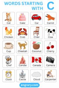 200+ Words Starting with C - Vocabulary List • Engrary