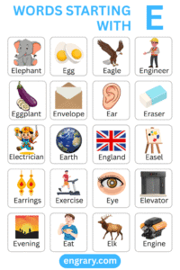 300+ Words Starting with E in English • Engrary