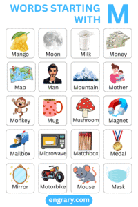350+ Words Starting with M - Extensive List • Engrary