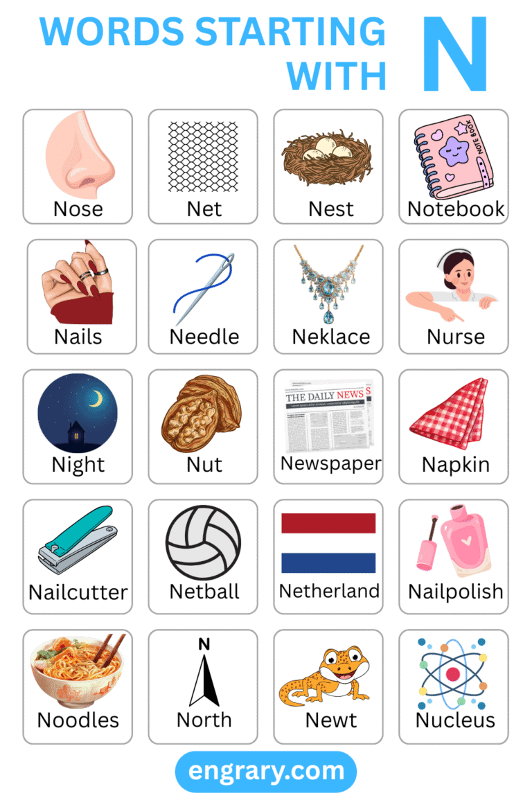 430+ Words Starting with N in English • Engrary