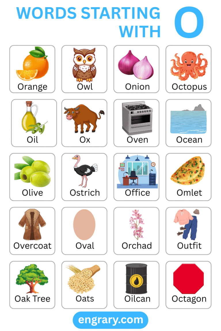 400+ Words Starting with O - Complete English List • Engrary