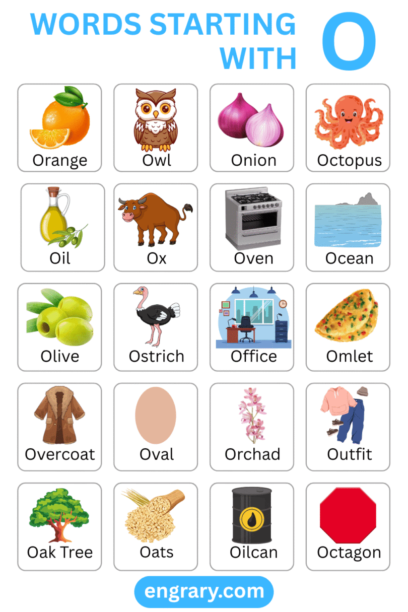 400+ Words Starting with O - Complete English List • Engrary