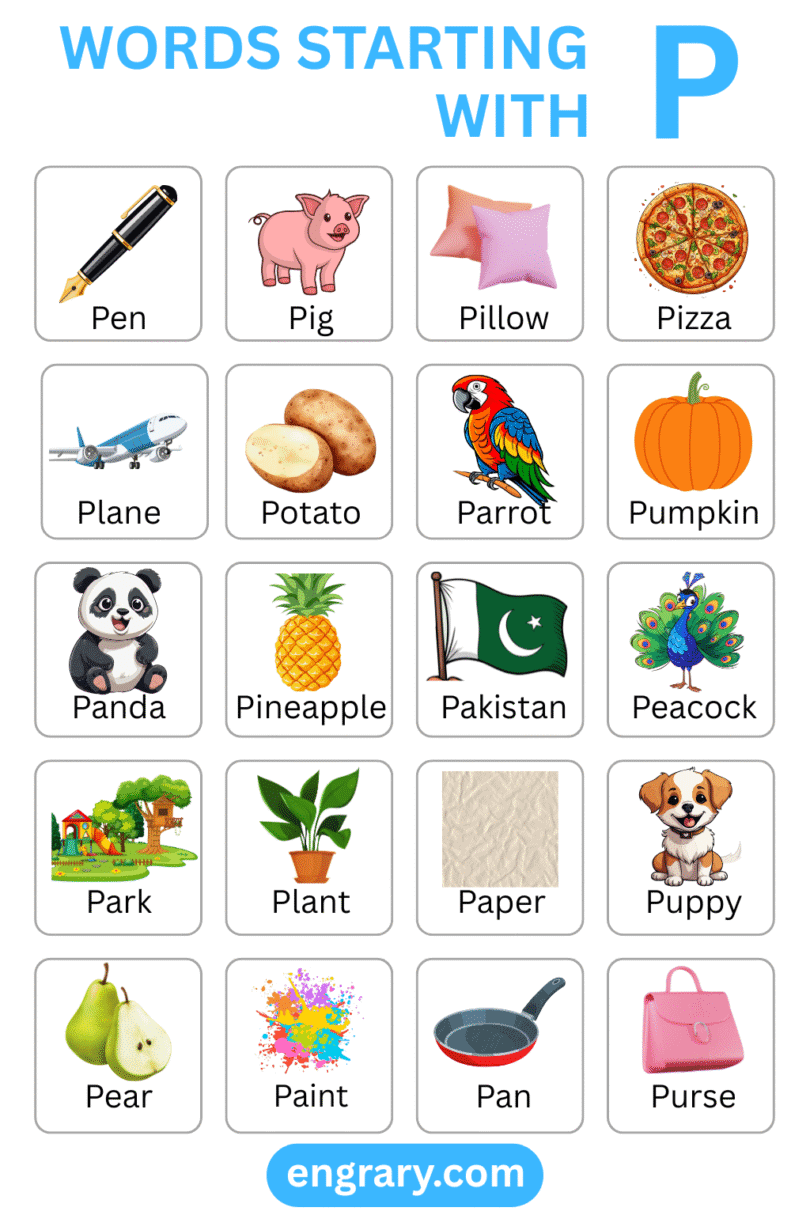 400+ Words Starting with P - Extensive List • Engrary
