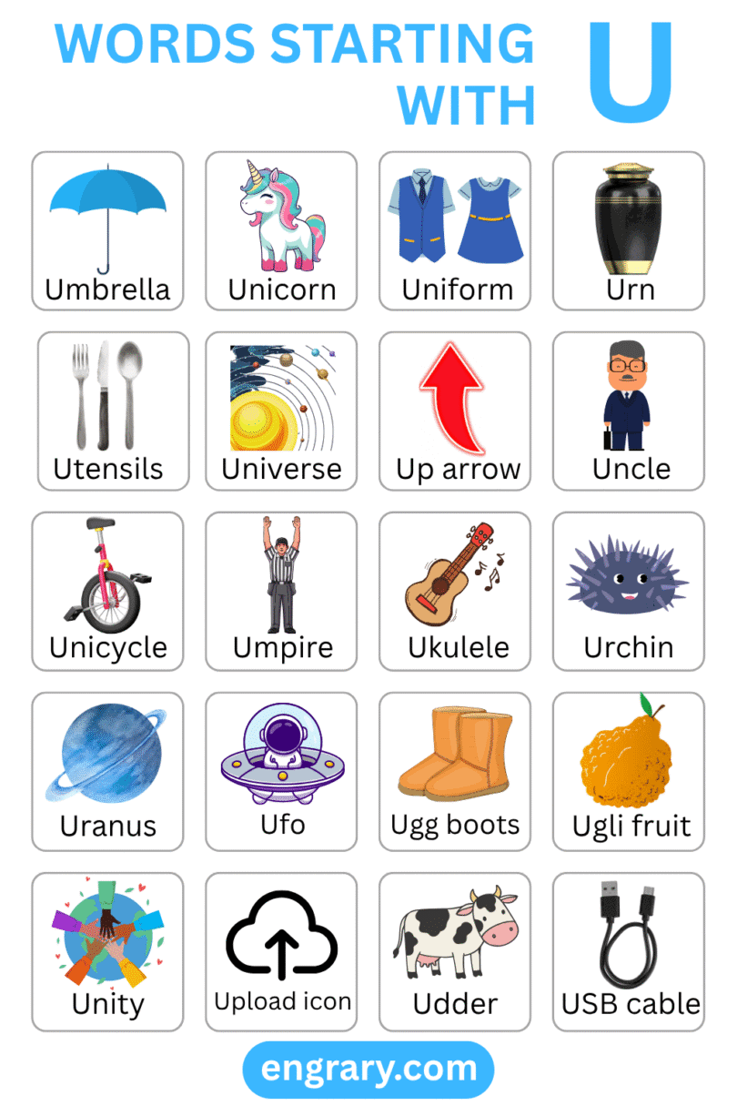222+ Words Starting with U - English List • Engrary