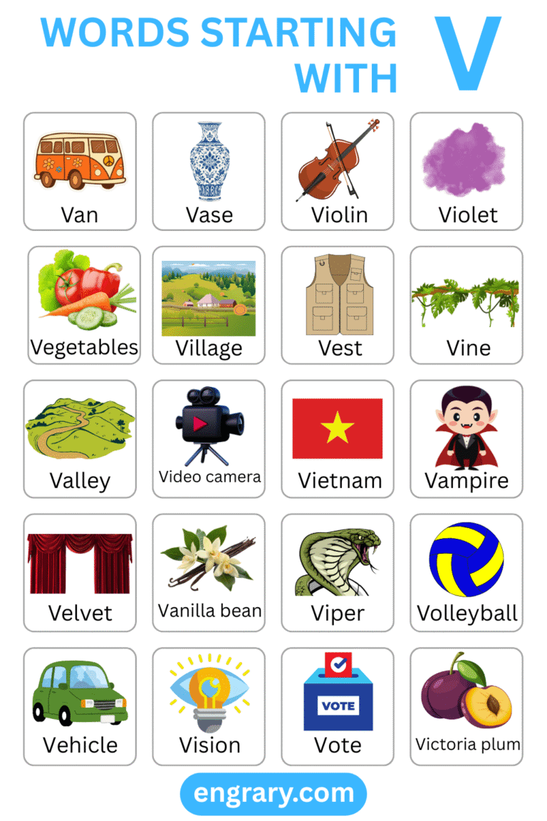 260+ Words Starting with V in English • Engrary