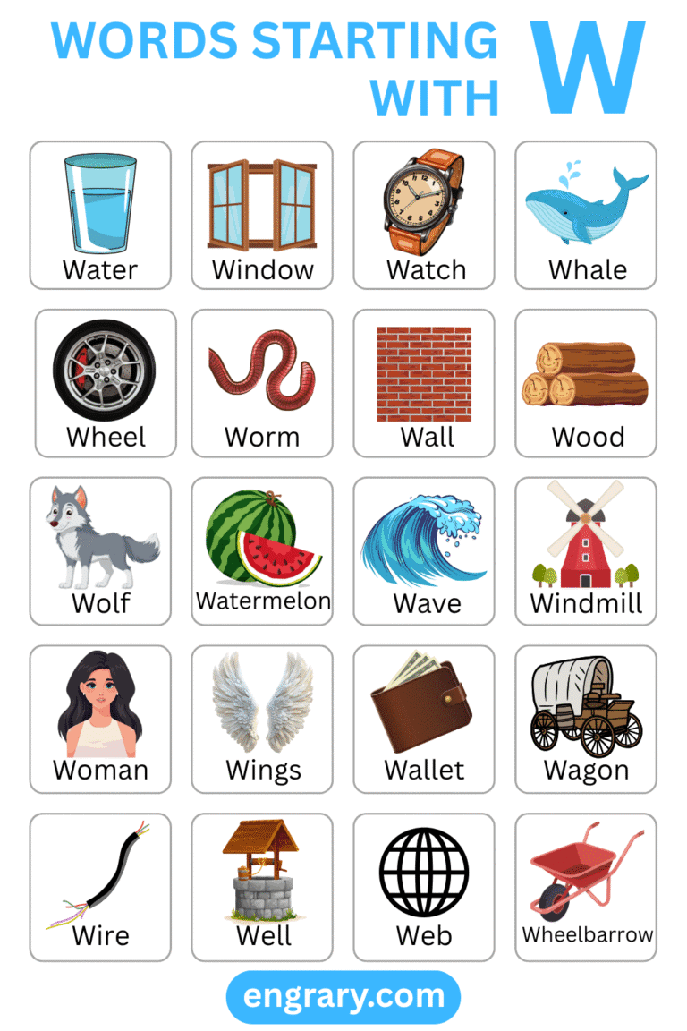 240+ Words Starting with W - Extensive List • Engrary