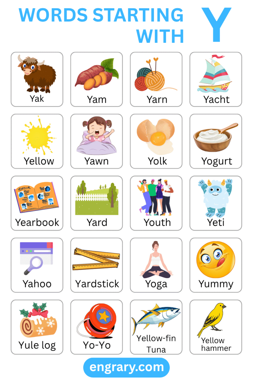 320+ Words Starting with Y in English • Engrary