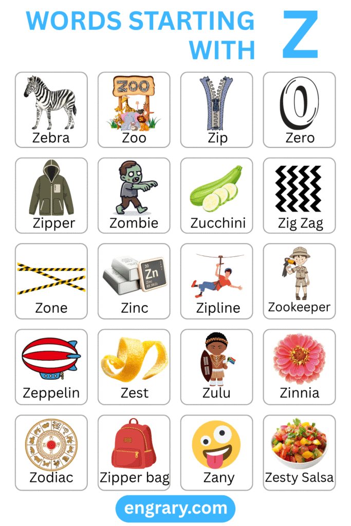 399+ Words Starting with Z - List in English • Engrary