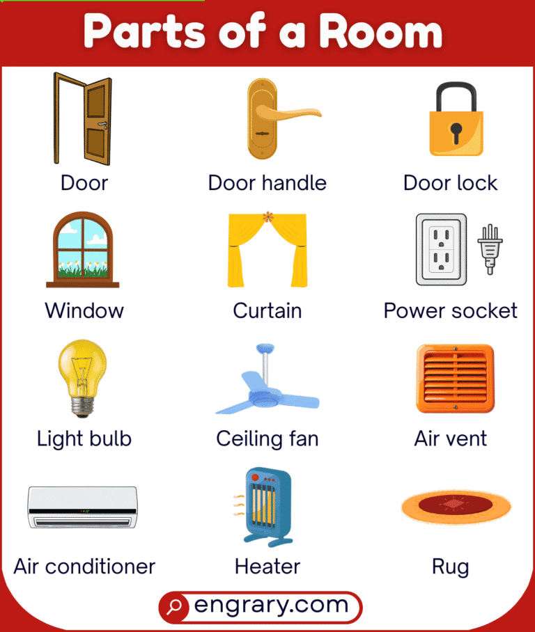 50+ Parts of a Room With Pictures and Names in English • Engrary