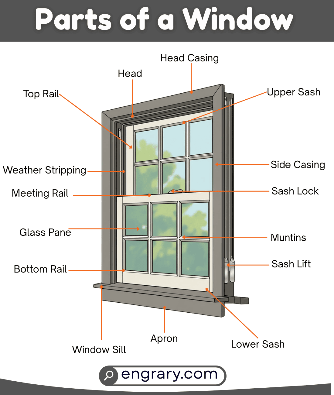 40 Parts of a Window: Complete List With Labeled Diagram • Engrary