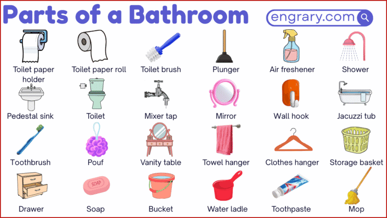 List of 100+ Bathroom Parts Names in English With Pictures • Engrary