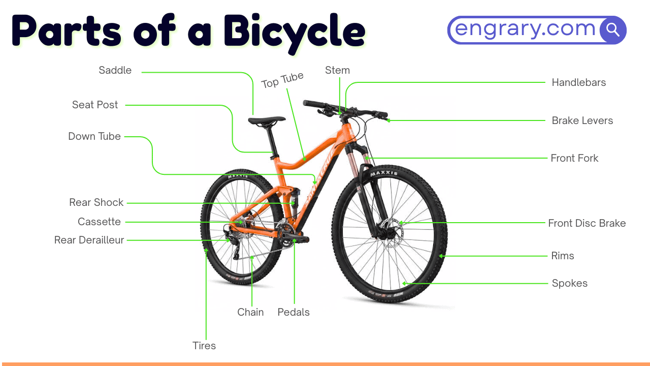Bicycle Parts Names With Functions and Labeled Diagram • Engrary