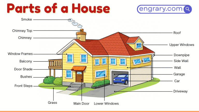 Parts of the House With Labeled Diagram Complete List • Engrary