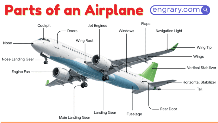 Parts Of An Airplane Names And Functions With Diagram • Engrary