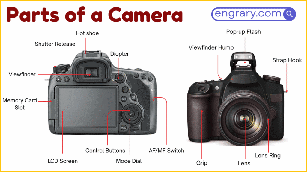Camera Parts: 80+ Names With Functions and Labeled Diagram • Engrary