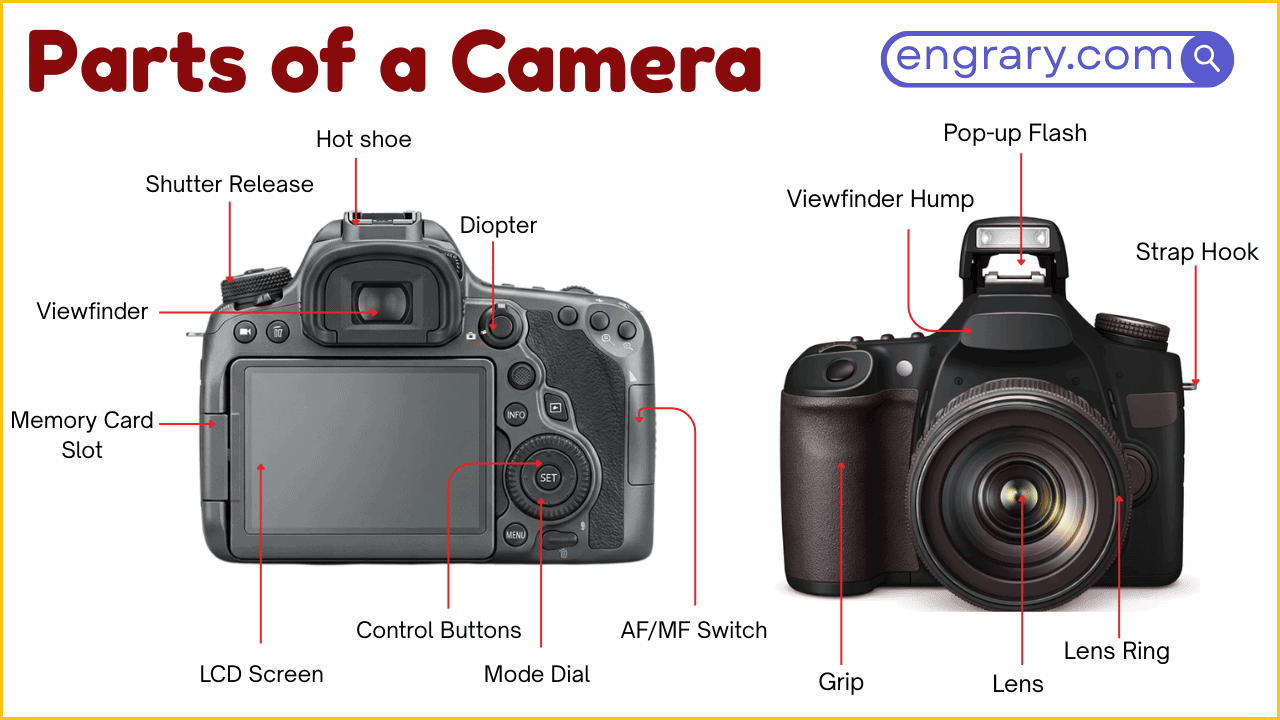 Camera Parts: 80+ Names With Functions and Labeled Diagram • Engrary