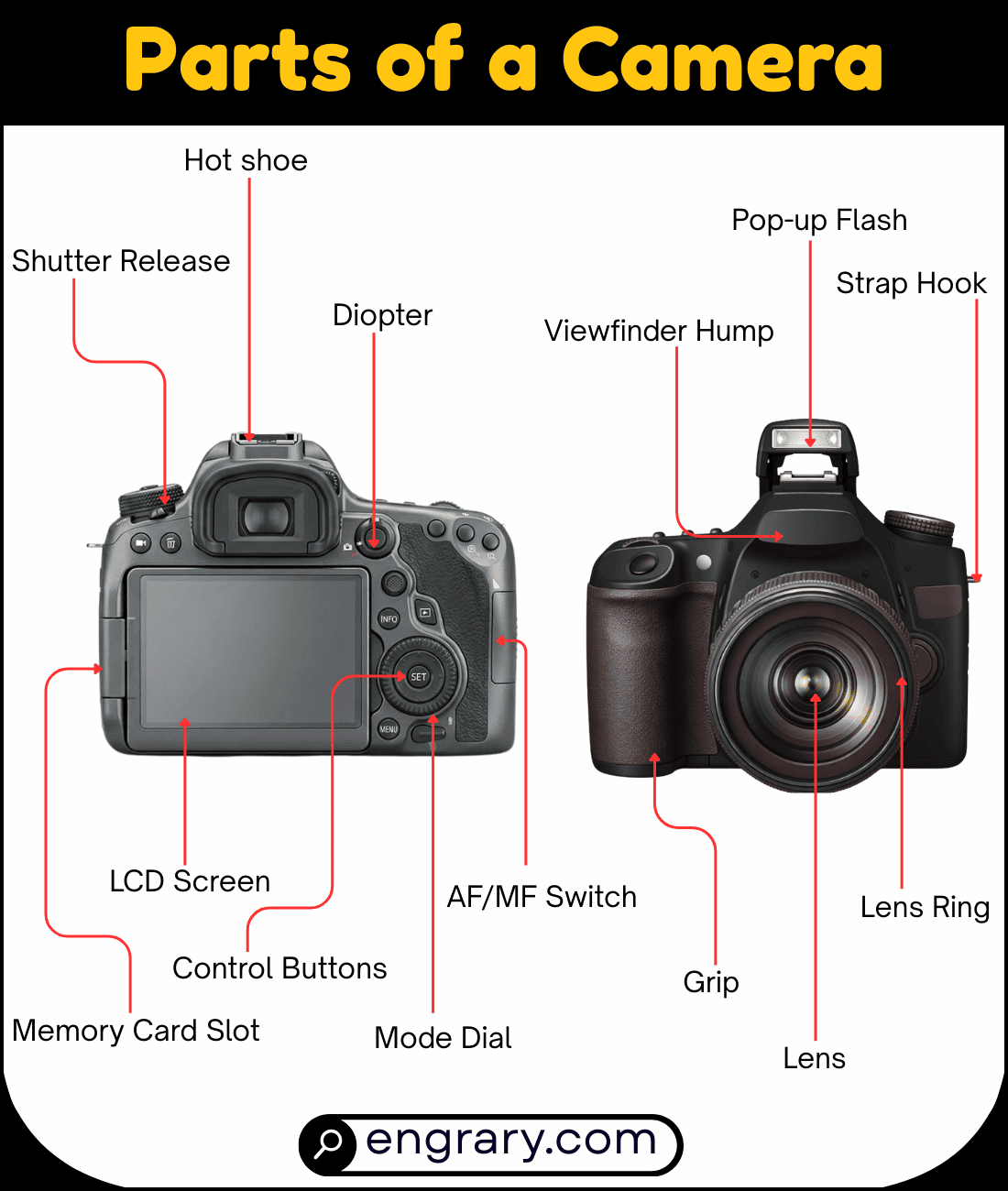 Camera Parts: 80+ Names With Functions and Labeled Diagram • Engrary
