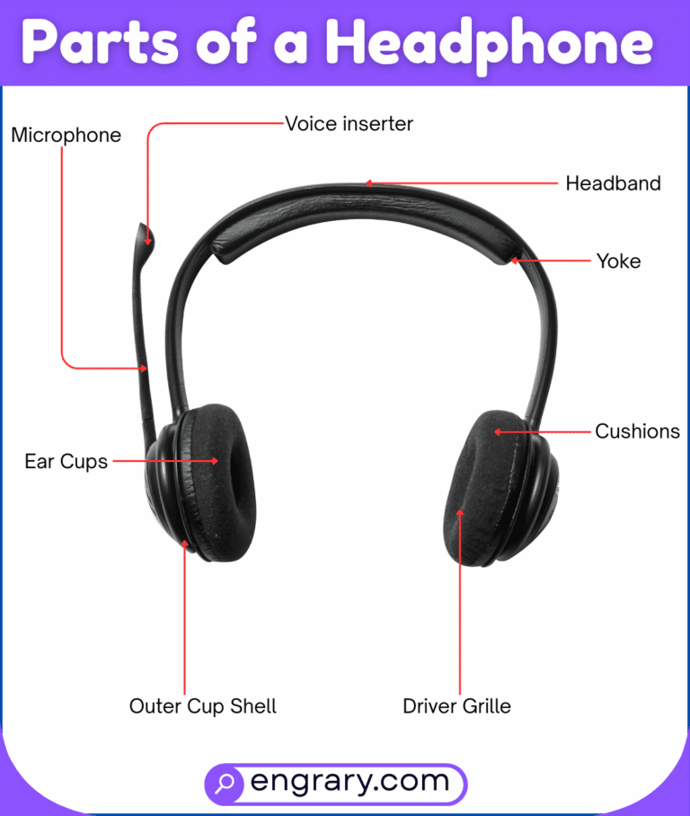 Headphone Parts Names, Functions and Labeled Diagram • Engrary