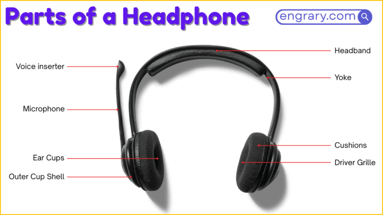 Headphone Parts Names, Functions and Labeled Diagram • Engrary