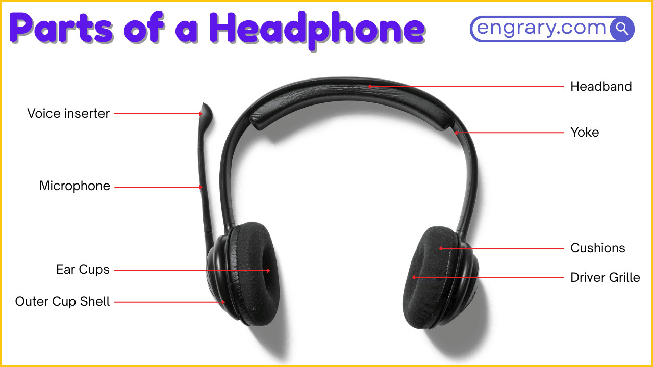 Headphone Parts Names, Functions and Labeled Diagram • Engrary