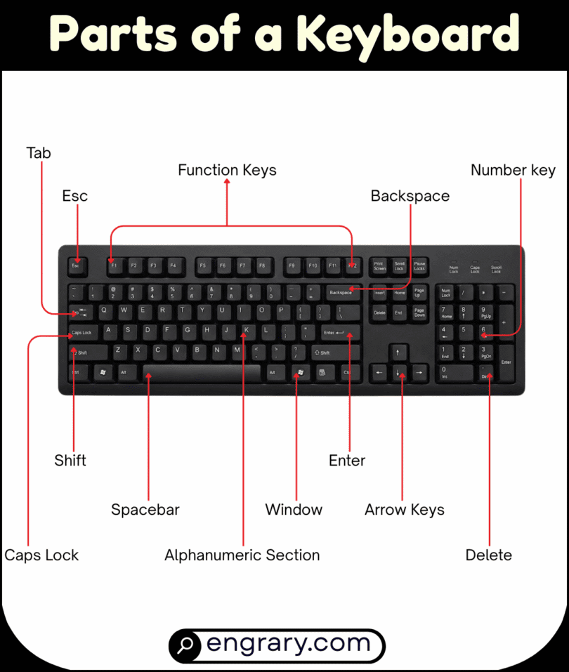 Parts of a Keyboard: 40+ Names, Functions and Labeled Diagram • Engrary