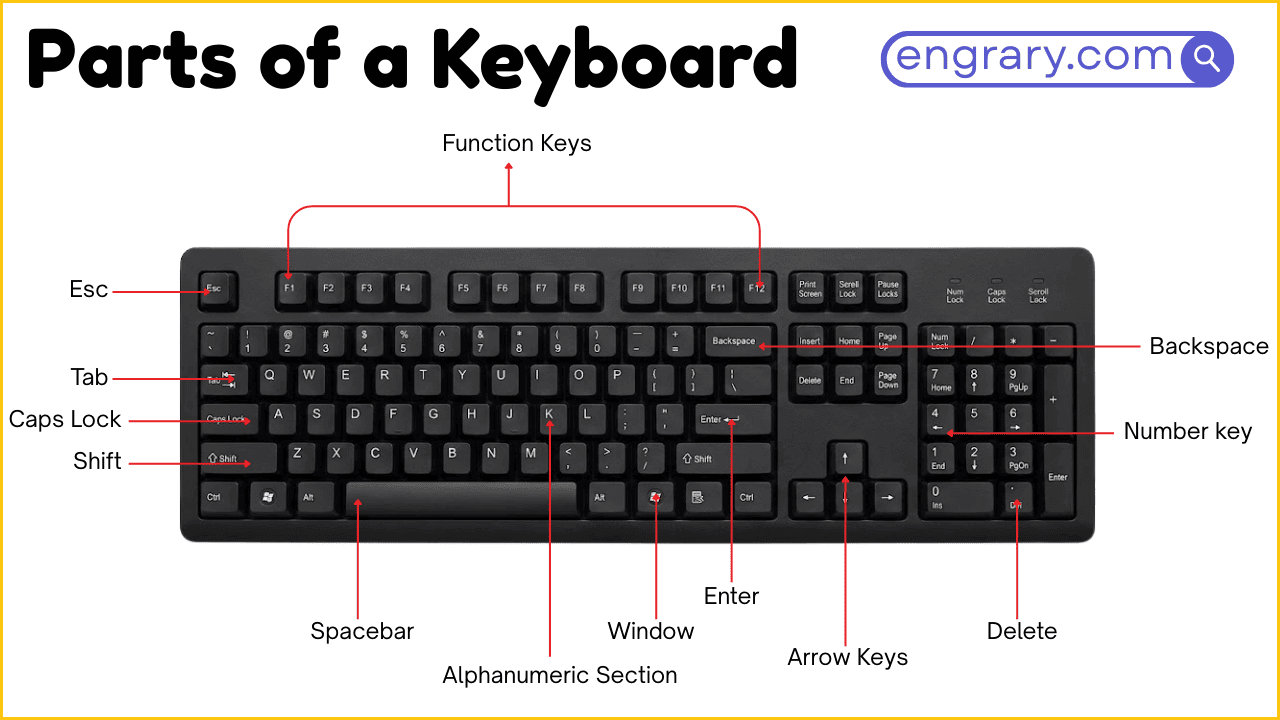 Parts of a Keyboard: 40+ Names, Functions and Labeled Diagram • Engrary