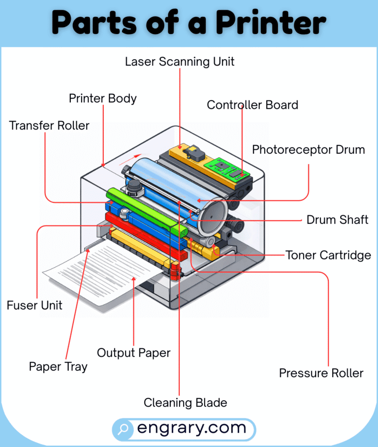 Printer Parts Names With Functions and Labeled Diagram • Engrary