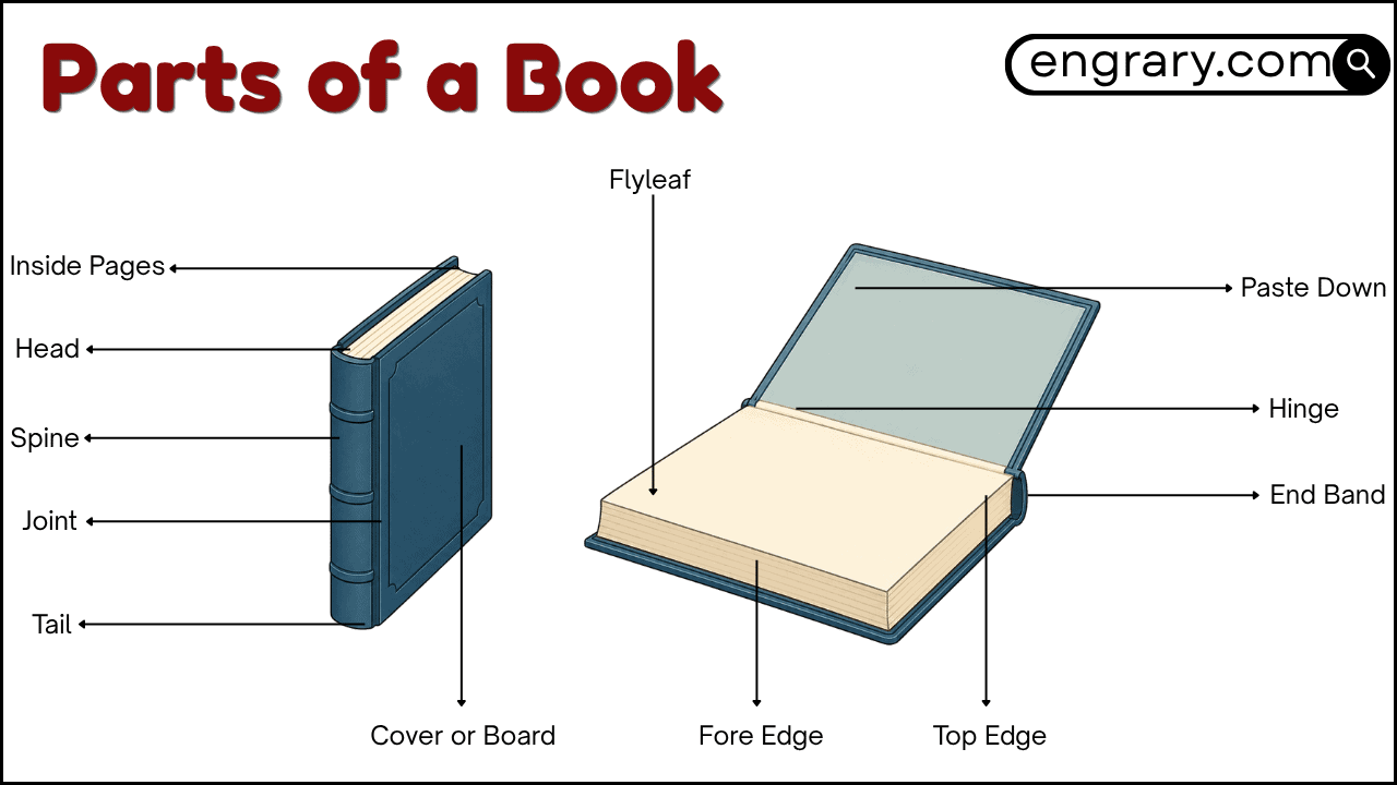 Parts of a Book With Labeled Diagram and Functions • Engrary