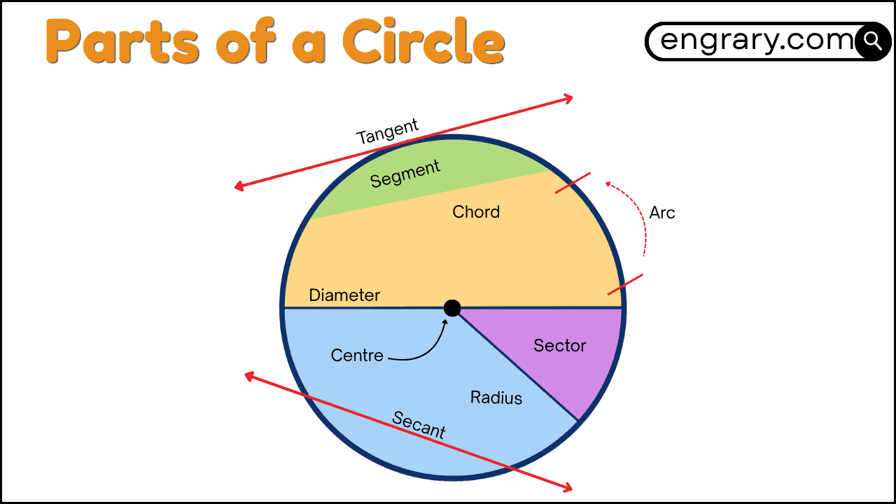Parts of a Circle Explained With Labeled Diagram • Engrary