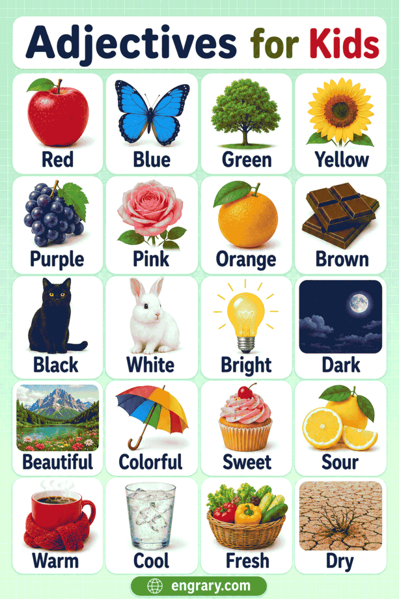 Adjectives for Kids with Pictures and Meanings • Engrary