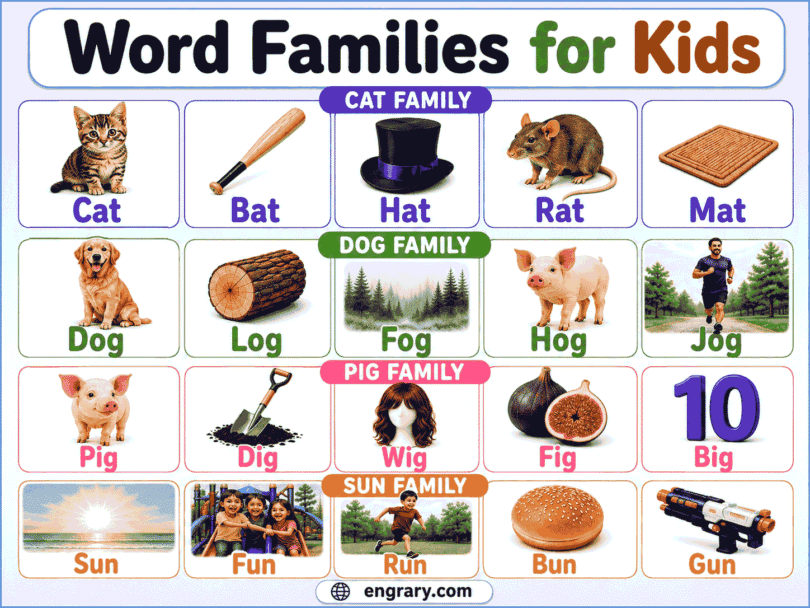 Word Families for Kids: Easy Phonics Patterns • Engrary